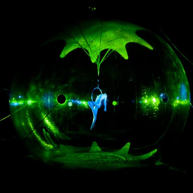 Specialty Acts - AerialAngels