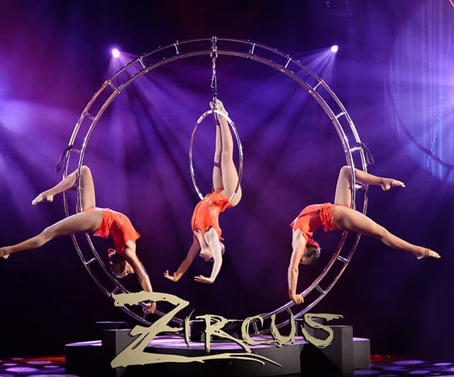 Aerial Entertainers Performers Gold Coast, Brisbane