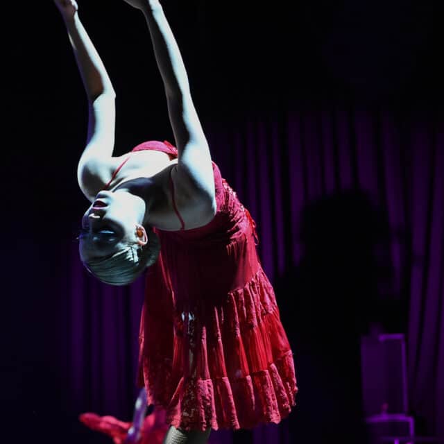 Specialty Acts - AerialAngels