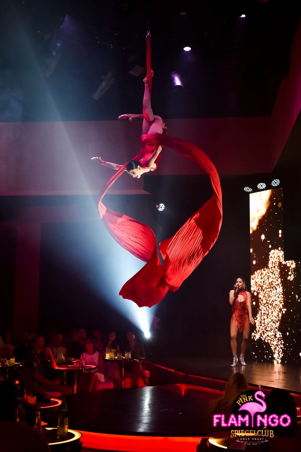 Aerial Entertainers Performers Gold Coast, Brisbane